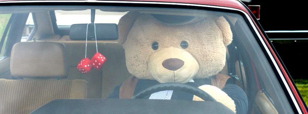 Teddy Go Home Pick-Up and Delivery