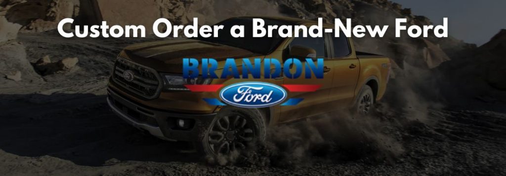 Brandon Ford - Official Blog