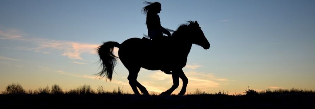 What's the difference between hp and bhp? Measurement and Meaning