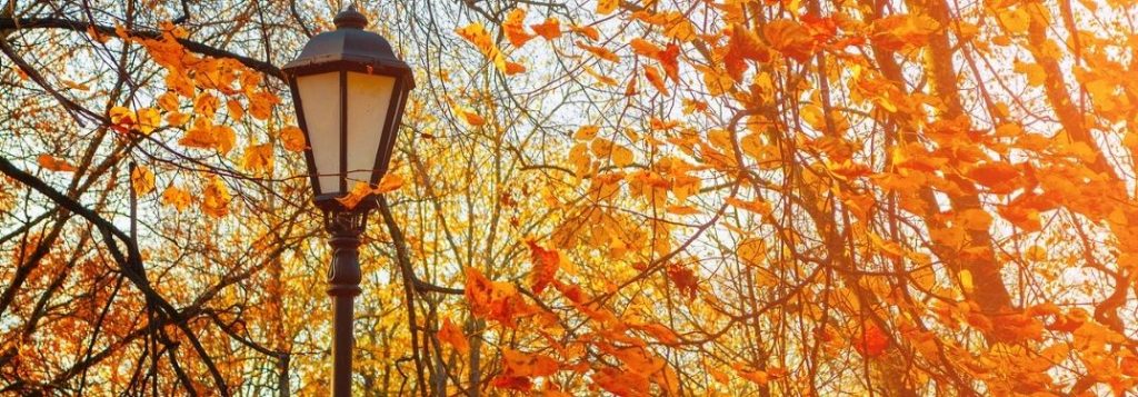 Top things to do in Fall in Milwaukee
